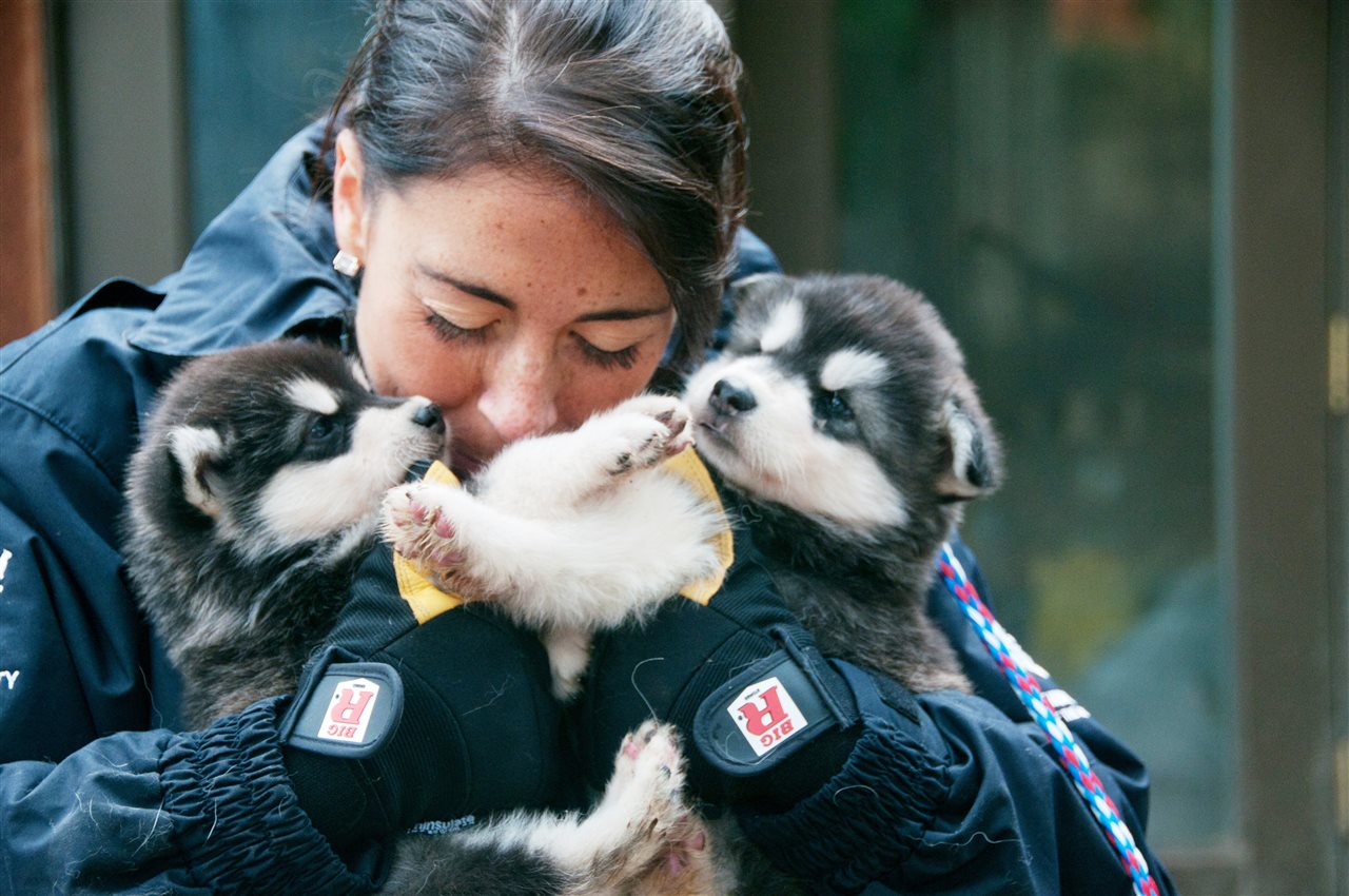 City Life Org - The pet effect: Facts about the incredible human-animal ...